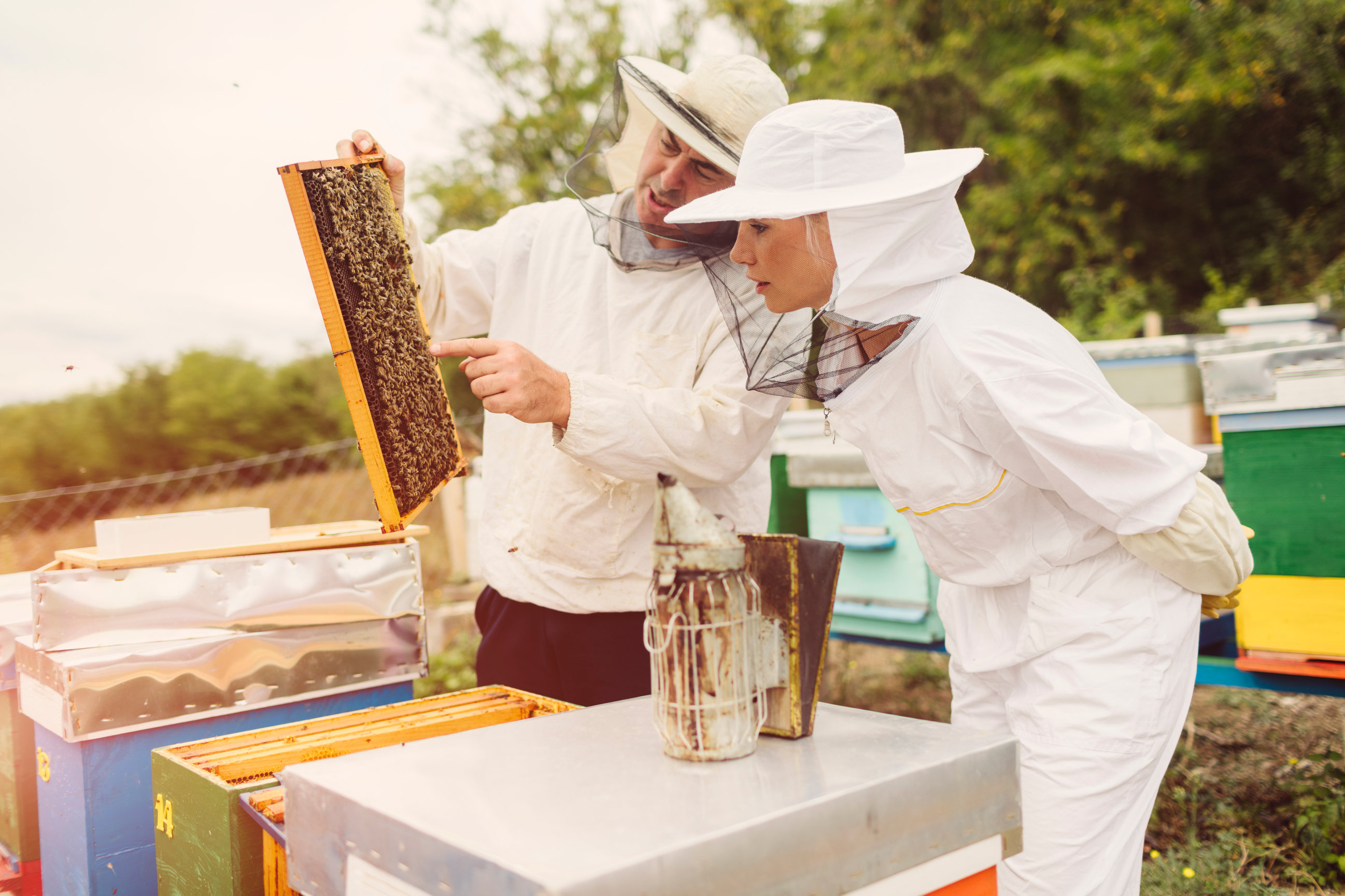 Beekeeping 101 Lessons | Joyful Bee Farms | Quinlan, Texas
