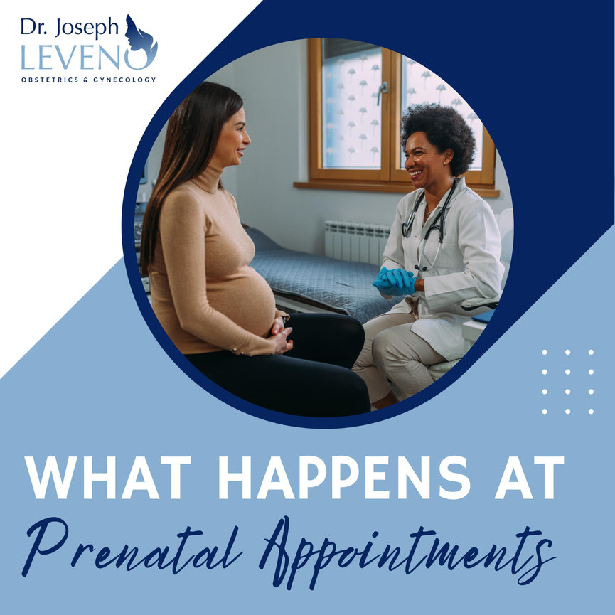 What Happens At Prenatal Appointments Dr Joseph Leveno
